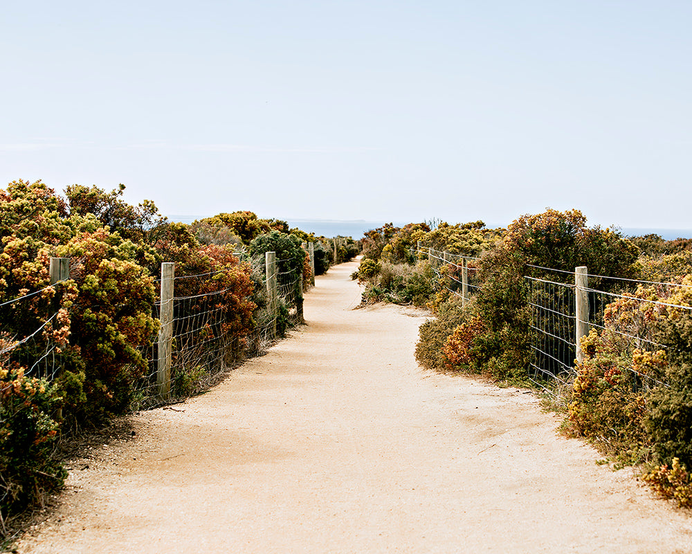 Jan Juc Walk – Bells Fine Art